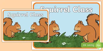 Squirrel Education Resources | twinkl.com.au