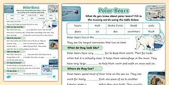 Polar Bears Resources | twinkl.co.uk