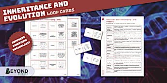 Inheritance and Evolution Extra Resource | KS3 Biology