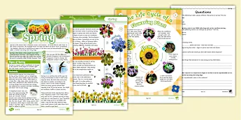 Spring Science Activities | twinkl.com.au