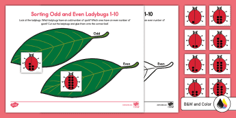 Kindergarten Sorting Worksheets | twinkl.com