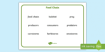 Food Chains Science | twinkl.co.uk