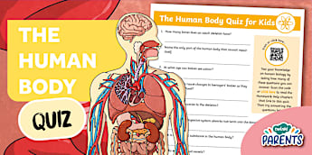 Human Body - Science - Primary School - Parents UAE - Twinkl