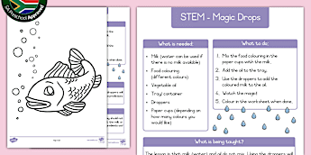 Preschool Science Experiments | twinkl.ca