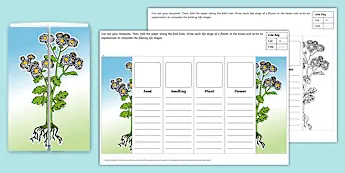Biology Template • Twinkl.com.au