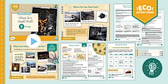 Fossil Fuels Science | twinkl.co.uk