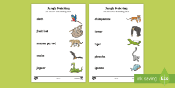 Jungle Activities | twinkl.co.uk