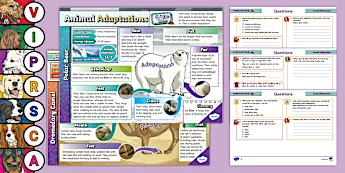 Animal Adaptations | twinkl.com.au