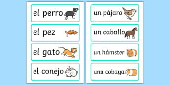 Spanish Vocabulary Primary Resources - Primary Resources, MFL, S