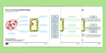 KS3 Science Teaching Resources