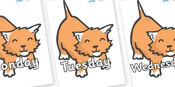Days Of The Week Education • Twinkl.ca