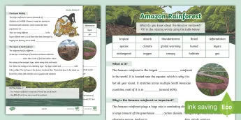 Amazon Rainforest Resources | twinkl.co.uk