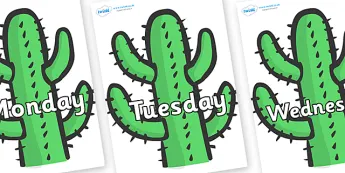 Cactus Classroom Resources | twinkl.co.uk