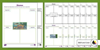 Biomes Geography • Twinkl.com