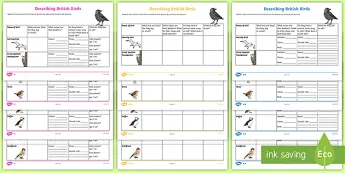 Zoology Worksheets | twinkl.com.au