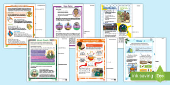 Monthly Comprehension Packs - KS1 Reading Comprehension Worksheets