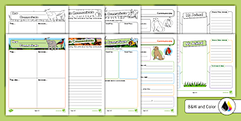 2nd Grade Graphic Organizer • Twinkl.com