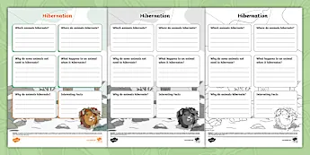 Hibernation Science Activities | twinkl.co.uk