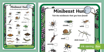 Bugs & Insects NZ ECE Teaching Resources - New Zealand