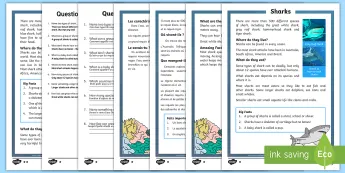 English Reading Activities | twinkl.co.uk