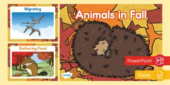 Animals PowerPoint Presentations | twinkl.com
