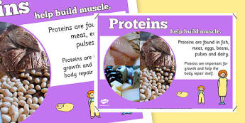 What is Protein? - Twinkl Teaching Wiki