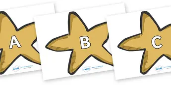 Starfish Images | twinkl.co.uk