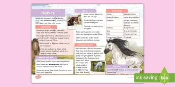 Mammals Animals - Animals - Topics - KS2 - Twinkl