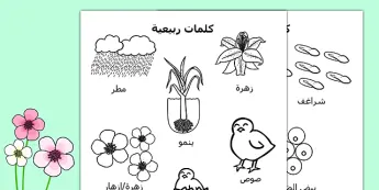 Language Coloring Sheets • Twinkl.com.au