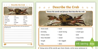 Crab Activities | twinkl.co.uk
