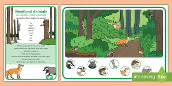 Woodland Animals Posters | twinkl.co.uk