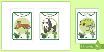 Jungle and Rainforest Activities KS1 | Primary Resources