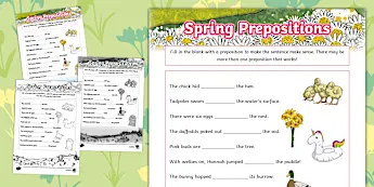 English Prepositions | twinkl.ca