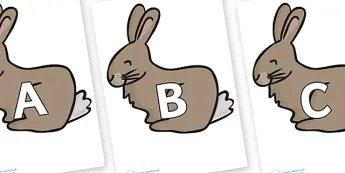 Rabbit Art Activities | twinkl.co.uk