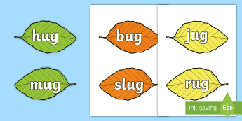 Autumn Leaves Activities | twinkl.co.uk