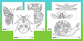 Minibeast Colouring Colouring - Sheets and Pages for Parents