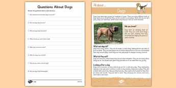 Printable Literacy Worksheets – Reading Comprehension – KS1