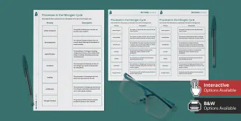 Nitrogen Cycles Biology | twinkl.co.uk