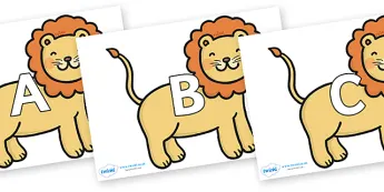 Lions Education | twinkl.com.au