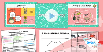 Living Things and Their Habitats - Year 4 Science Resources