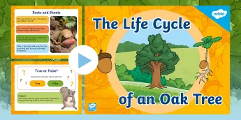 Biology PowerPoints | twinkl.co.uk
