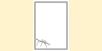 Insect Art Projects | twinkl.co.uk