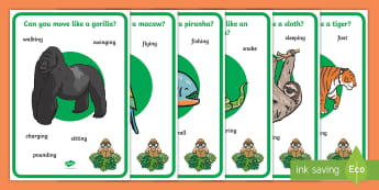 Rainforest and Jungle Animal Activities for Early Years EYFS