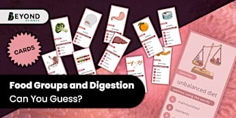 Nutrition and Digestion | KS3 Biology | Science | Beyond