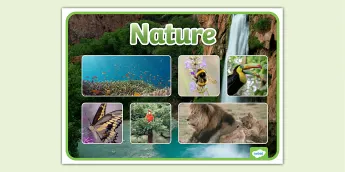 Nature Science Activities | twinkl.co.uk