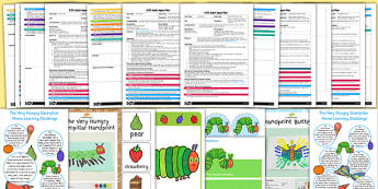 Planning Packs - Butterfly Life Cycle - EYFS - Twinkl