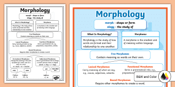 Morphology Resources | twinkl.com