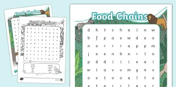 Biology Food Chains | twinkl.com.au