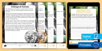 4th Grade Activities | Teaching Resources | Twinkl USA