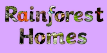 Rainforest Display Letters | twinkl.co.uk